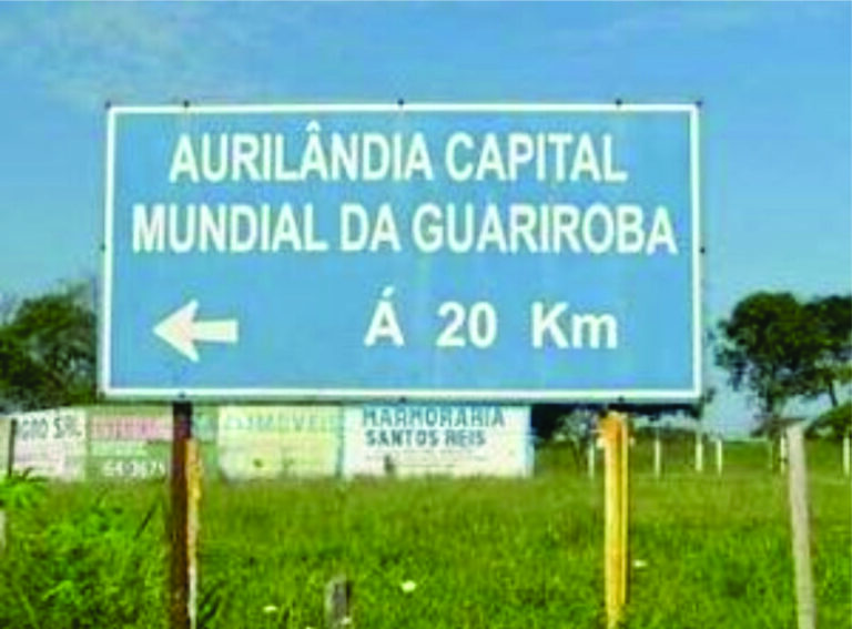 É possível que a 23ª Festa Estadual da Guariroba de Aurilândia não ...